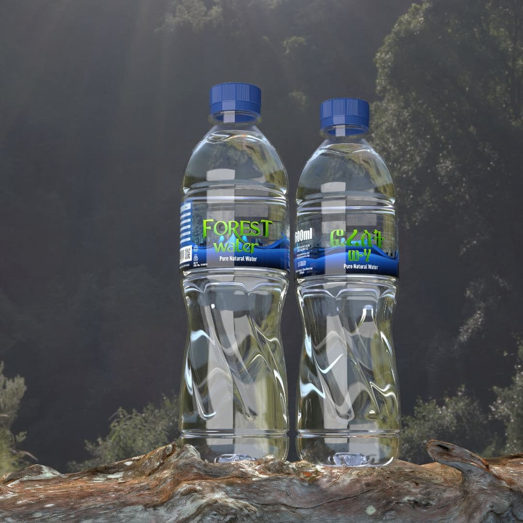 Image Gallery - Forest Water